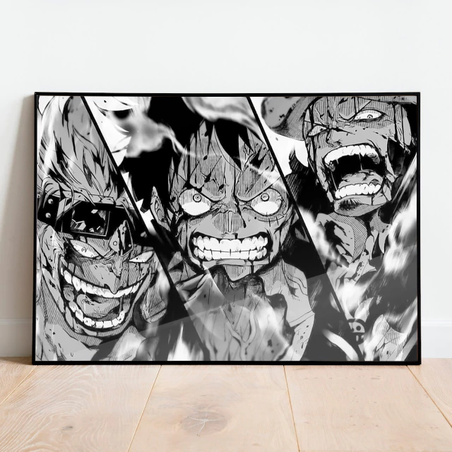 CUADRO COSMOS - COLECCIÓN ONE PIECE 03
